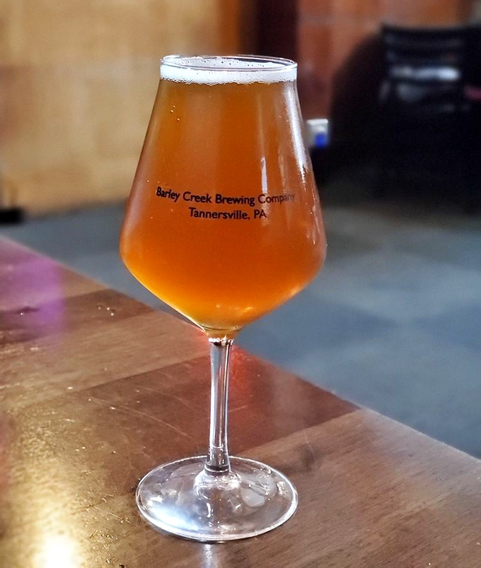 A perfectly poured craft beer that captures sunshine in a glass – the kind that makes you pause mid-conversation to say, "Wow, you have to try this."