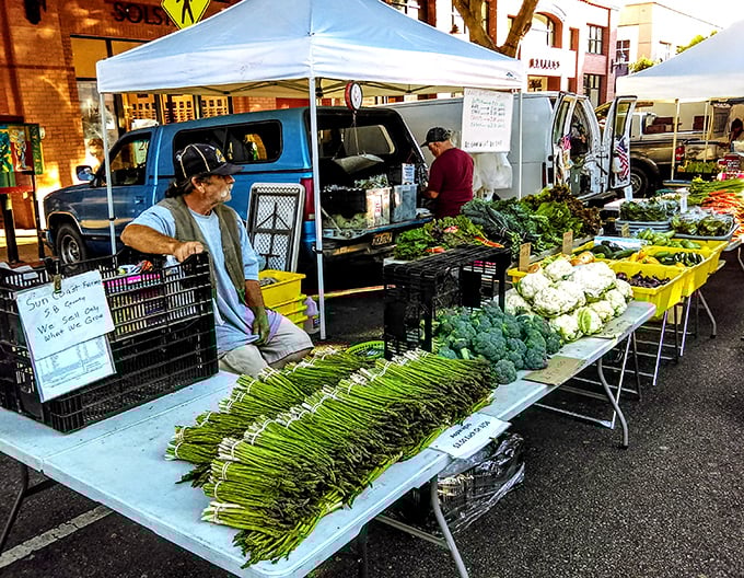 Thursday farmers market transforms streets into a vibrant celebration of local flavors and community spirit.