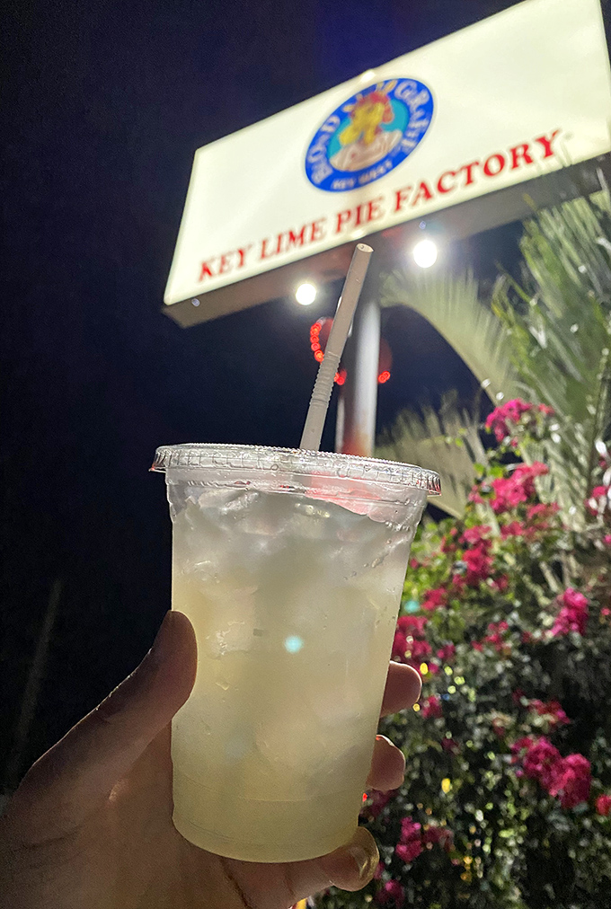 Nothing cuts through the Florida heat like their refreshing key limeade, served with a view of tropical flowers and neon signs.