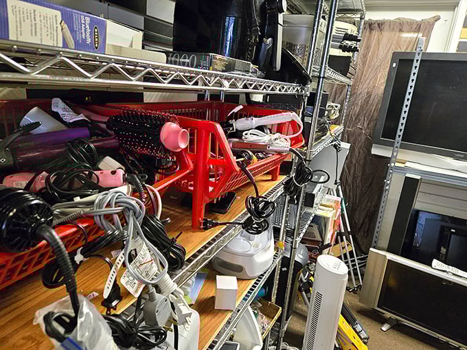 Electronic treasures await the patient hunter—from vintage gadgets to practical necessities, all tested and ready for their second act.