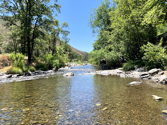 Clear waters reflect the California sunshine as they meander through town. This creek isn't just scenery – it's an invitation to kick off your shoes.