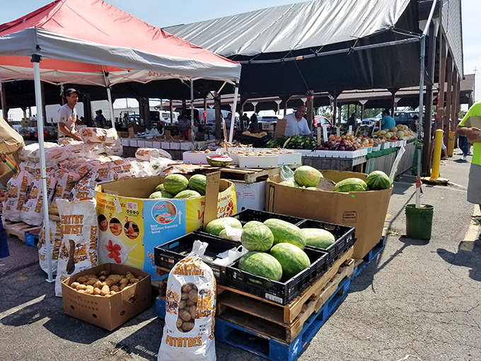 Nature's bounty on display! These farm-fresh watermelons and produce transform a corner of the market into a summertime feast for the senses.
