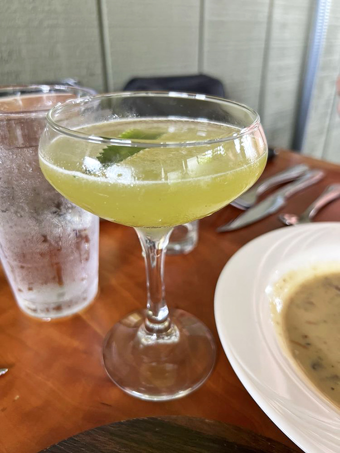 A cocktail that captures summer in a glass. This garden-fresh concoction proves that sometimes the best appetizer isn't something you eat, but something you sip.