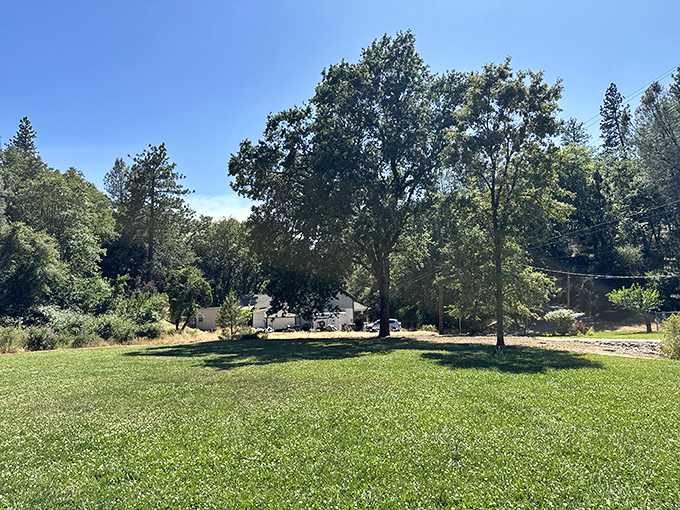 Sunlight dapples across George F. Duffey Park's emerald lawn, creating the perfect setting for afternoon reading sessions or contemplative retirement planning that actually feels exciting.