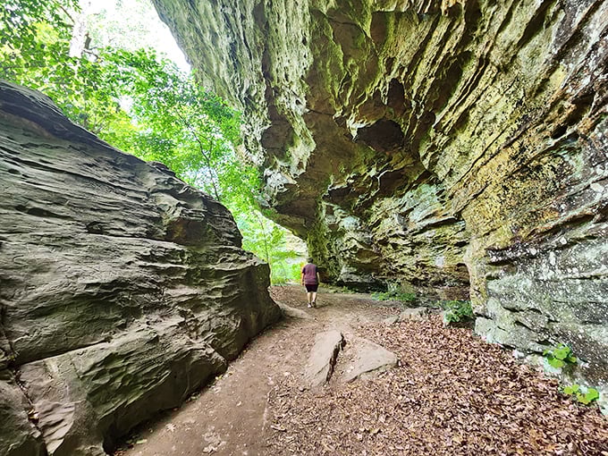 Giant City's ancient rock corridors make you feel simultaneously tiny and timeless – nature's architecture predating human history by millions of years.
