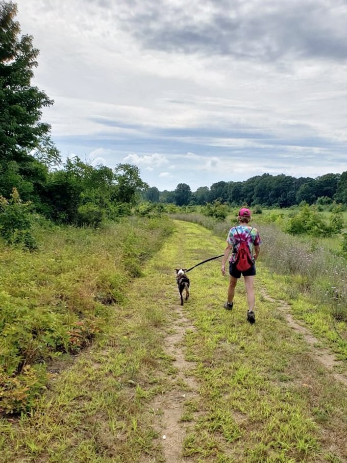 Sometimes the best hiking companions have four legs. This trail offers enough interesting smells to keep both two-legged and four-legged explorers thoroughly entertained.