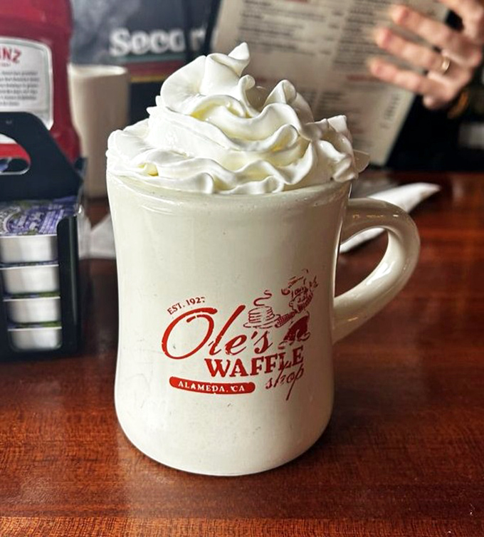 Hot chocolate that doesn't just arrive—it makes an entrance. Whipped cream mountain included at no extra charge to your happiness account.