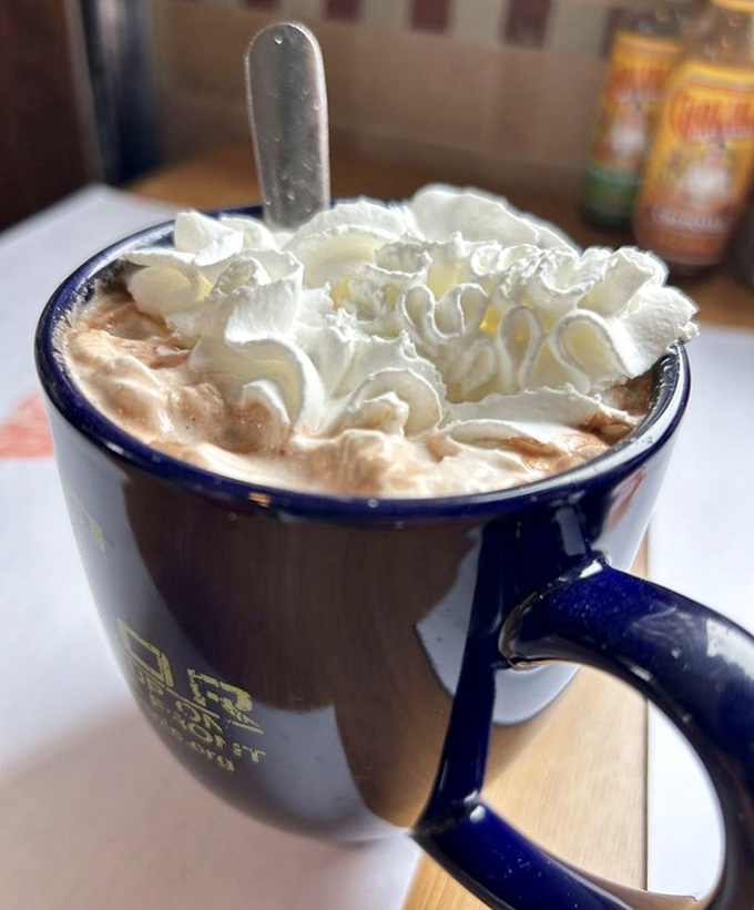 Hot chocolate crowned with a cloud of whipped cream—winter's perfect antidote and proof that happiness can indeed be served in a mug.