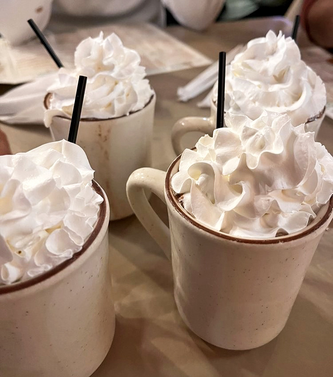 Hot chocolate mountains topped with whipped cream clouds—winter comfort that makes you secretly hope for chilly Smoky Mountain mornings.