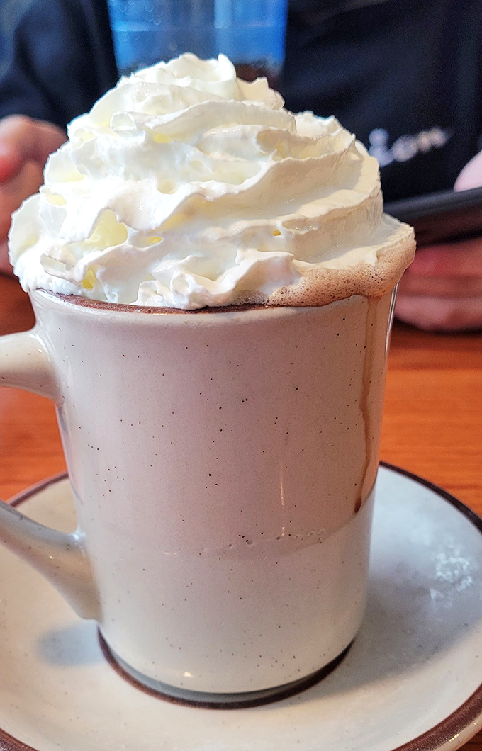Hot chocolate that's wearing a cloud for a hat. This isn't just a beverage – it's a warm hug in ceramic form.
