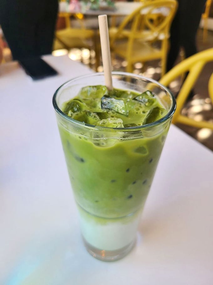 That iced matcha latte isn't just a drink—it's a lifestyle statement. Vibrant, refreshing, and guaranteed to make your Instagram followers green with envy.