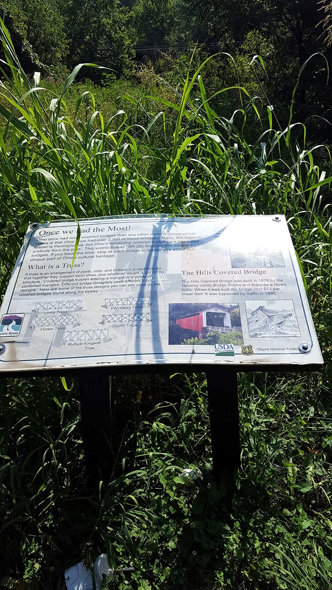 "Once we had the most!"—Ohio's proud covered bridge heritage explained through illustrations and history, a roadside education worth stopping for.