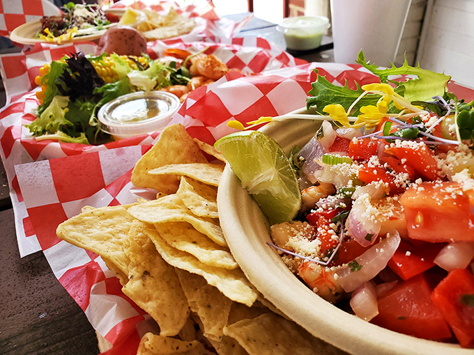 Fresh ceviche served with a side of Florida sunshine. Those tortilla chips aren't just garnish—they're essential tools for scooping up every last bit of zesty goodness.