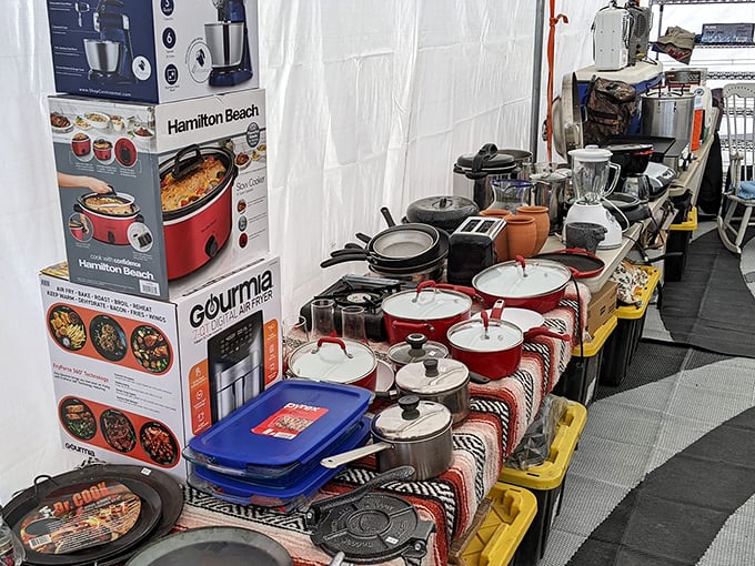 Kitchen gadget paradise where forgotten culinary tools and modern appliances coexist—your grandmother's favorite potato masher might be waiting here.