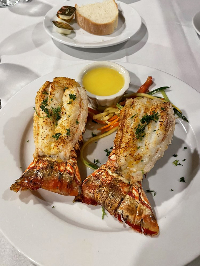 Lobster tails that look like they're auditioning for a seafood calendar. Perfectly cooked, artfully presented, and ready for their butter bath.
