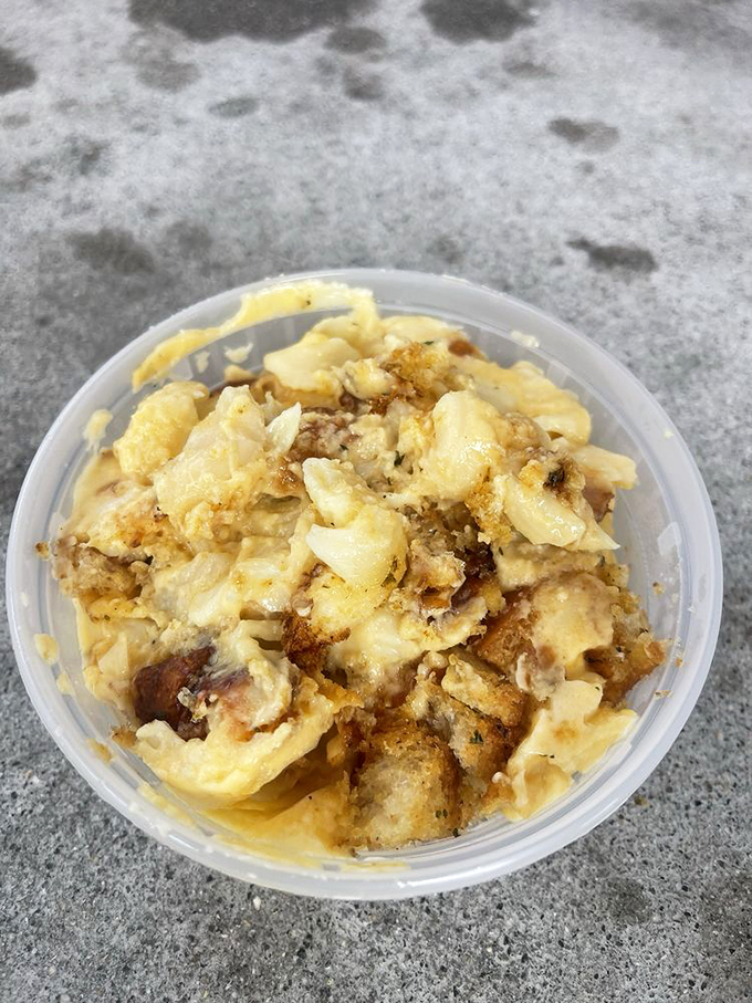 Mac and cheese that looks like it's been working out—buff, golden, and ready to comfort you after a long day.