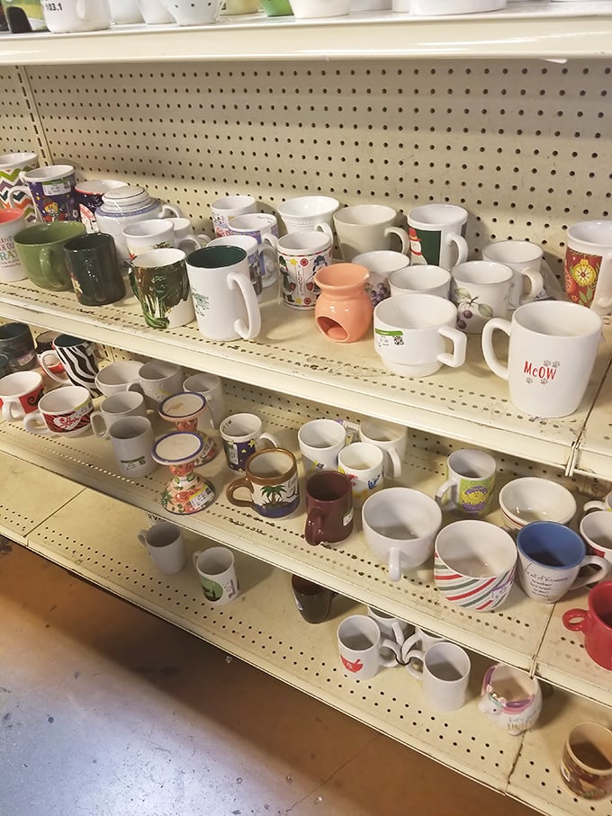 Mug archaeology: each handle tells a story—from forgotten corporate retreats to abandoned vacation souvenirs and "World's Best" someones.
