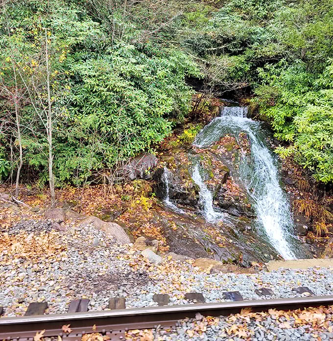Nature puts on a private show for rail passengers—this trackside waterfall performing its timeless symphony of splash and sparkle.