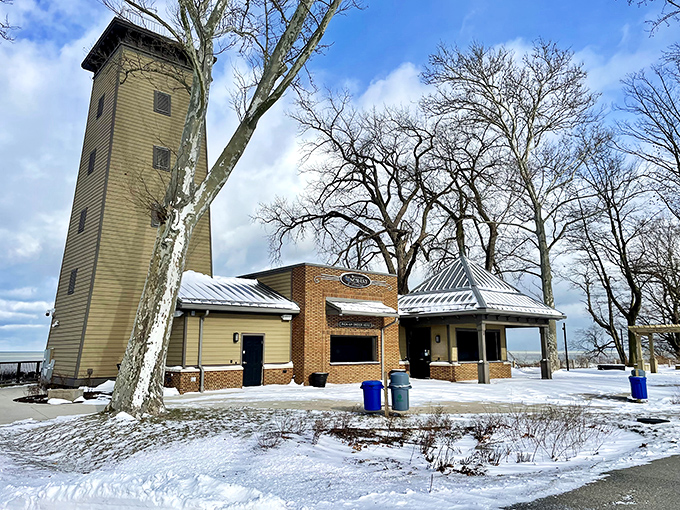 Winter transforms the Lake Erie Nature & Science Center into a snow-dusted haven for curious minds seeking shelter from the cold.