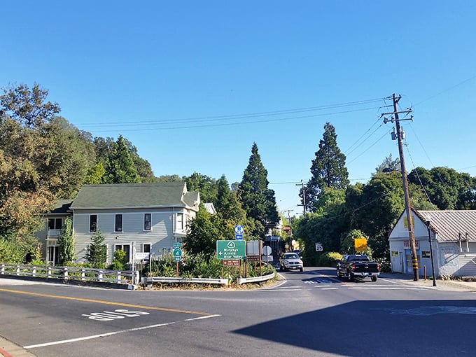 Tree-lined neighborhoods whisper tales of families who chose tranquility over the urban rat race. 