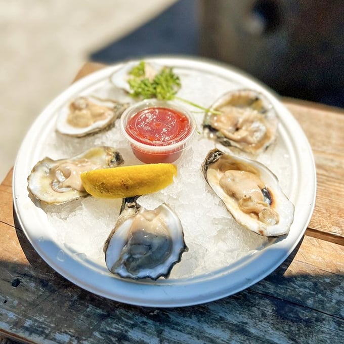 Fresh oysters on ice—nature's perfect appetizer. These briny jewels of the sea need nothing more than a squeeze of lemon and good company.