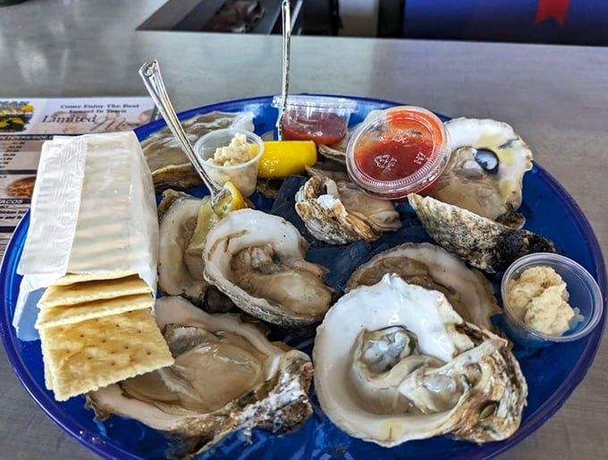 Fresh oysters on the half shell—nature's perfect appetizer, requiring nothing more than a squeeze of lemon and a moment of gratitude.