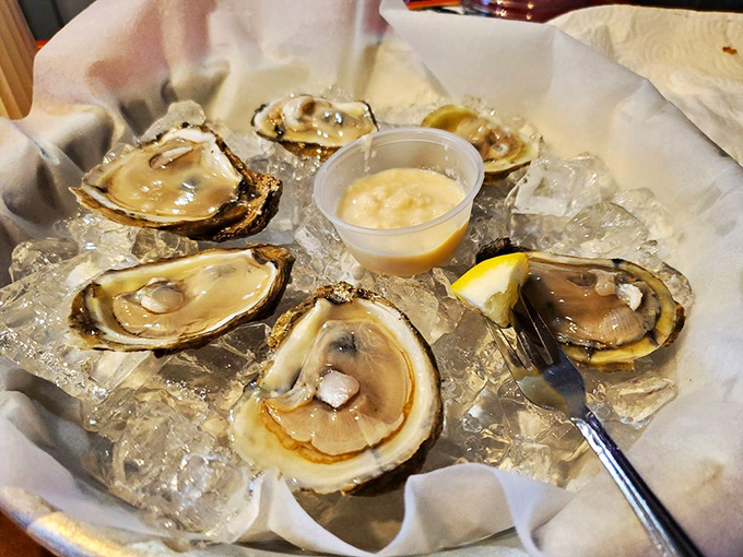 Fresh oysters on ice—nature's perfect appetizer that tastes like the ocean decided to send you a love letter.