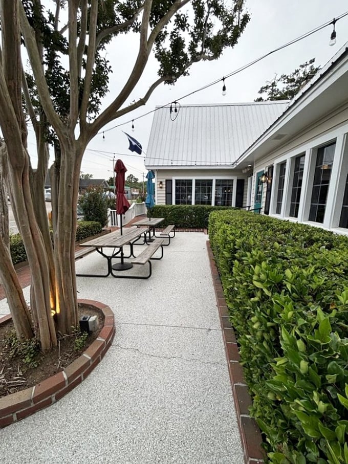 The outdoor seating area offers a peaceful retreat among manicured shrubs. Nature and seafood – a pairing as old as time itself.