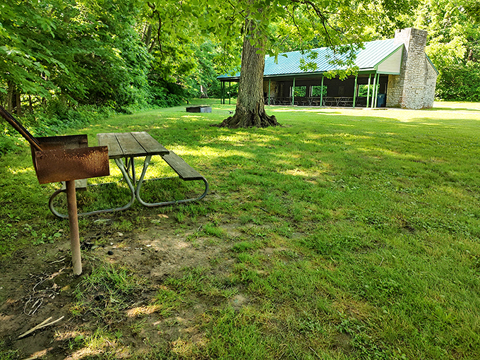 A perfect picnic spot with shelter nearby—because Mother Nature occasionally likes to water her plants while you're eating lunch.