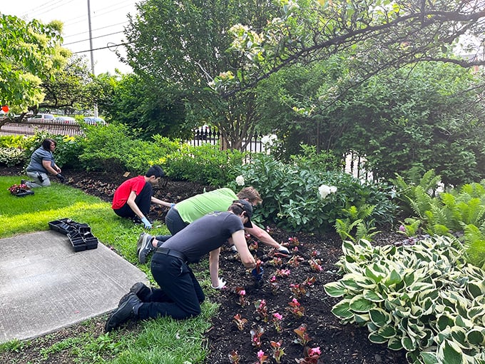 Garden volunteers hard at work—the unsung heroes who ensure this living artwork remains picture-perfect through every season.