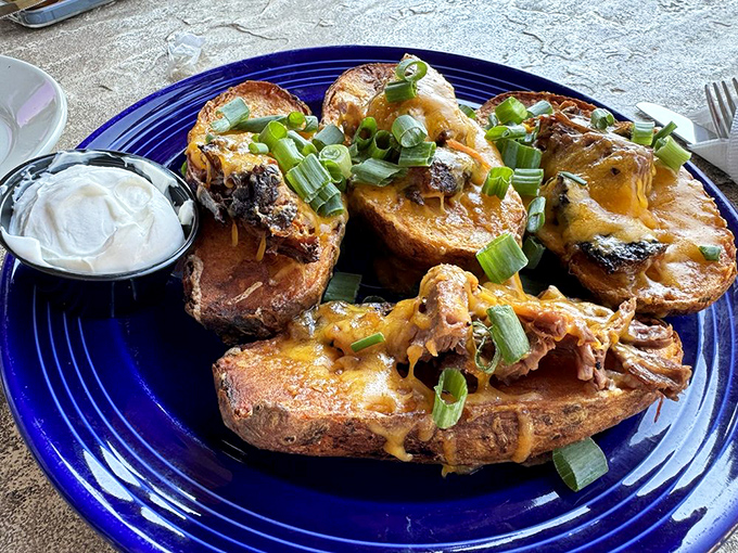 Potato skins elevated to an art form—crispy vessels carrying melted cheese, tender brisket, and the promise of immediate happiness.