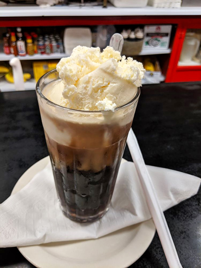 A root beer float that makes you wonder why we ever bothered inventing more complicated desserts. Simple perfection in a glass.