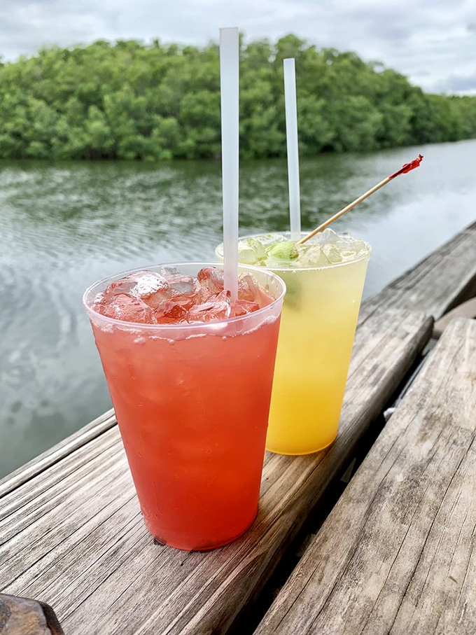 Colorful cocktails with a view of mangroves—nature's way of saying "slow down and enjoy life." These drinks help you follow those instructions.