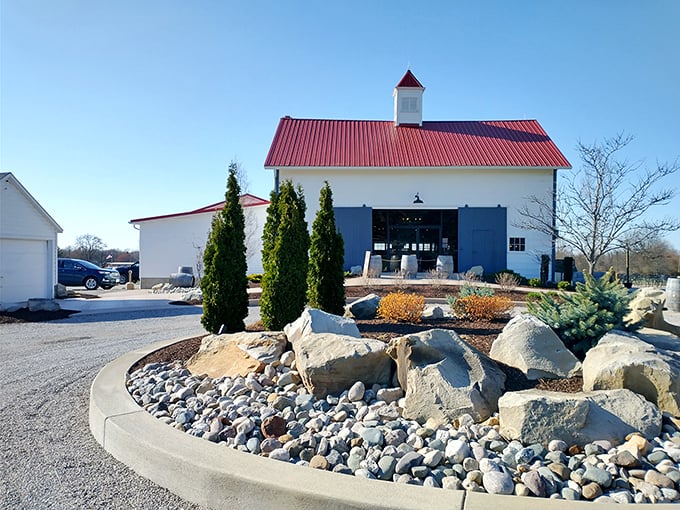 Sandy Ridge Vineyards' barn-inspired architecture channels European wineries with Midwestern practicality. Those cypress trees weren't born in Ohio, but they've found a good home.