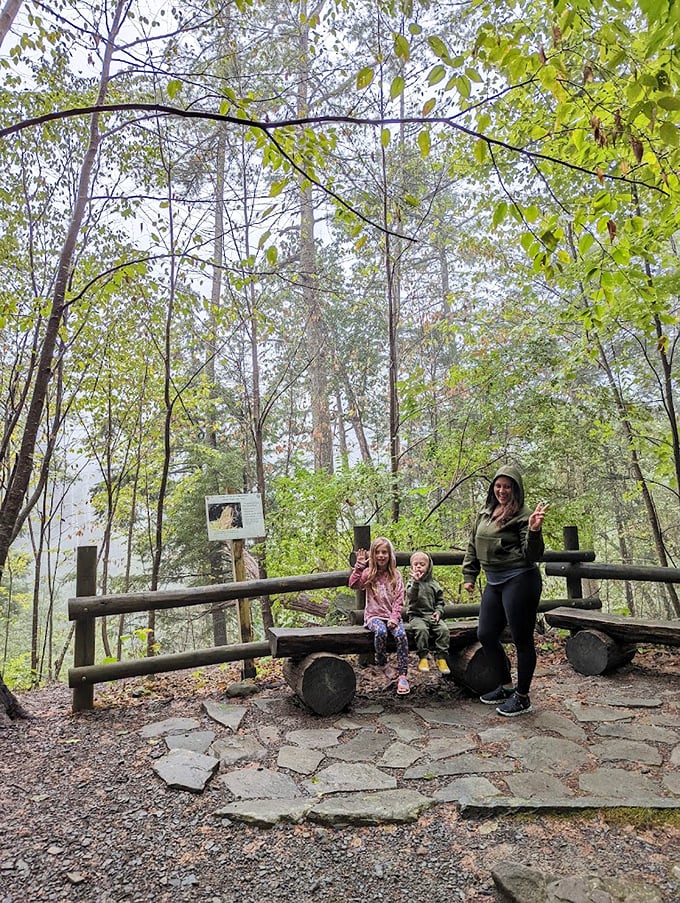 Family memories are made at scenic overlooks, where Pennsylvania's natural beauty creates the perfect backdrop for timeless photographs.