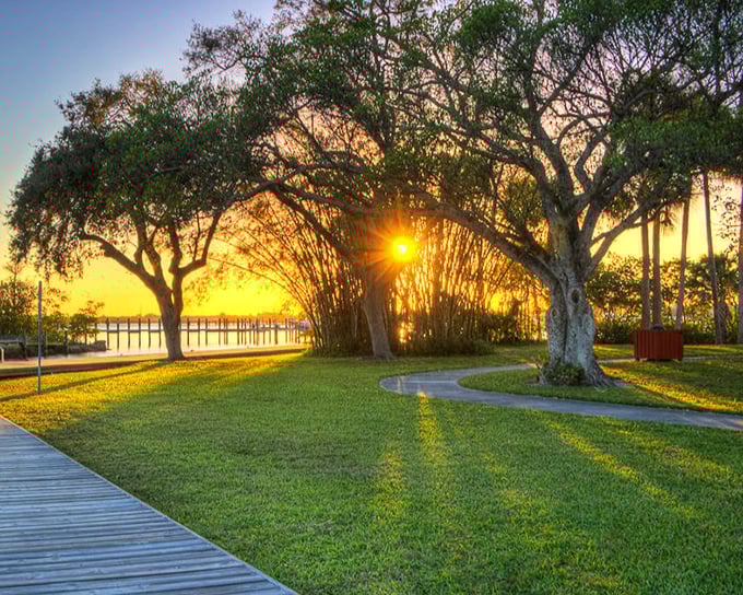 Golden hour at the park – when Stuart's sunset casts an amber glow through oak trees, creating the perfect backdrop for evening strolls.