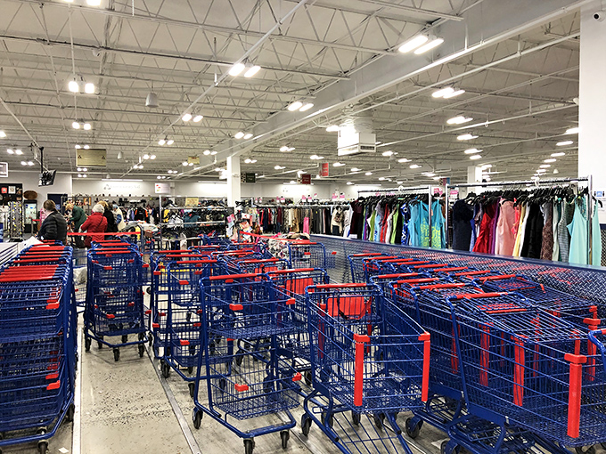 The blue shopping cart armada stands ready for action—these aren't just carts, they're vessels for possibility and potential.