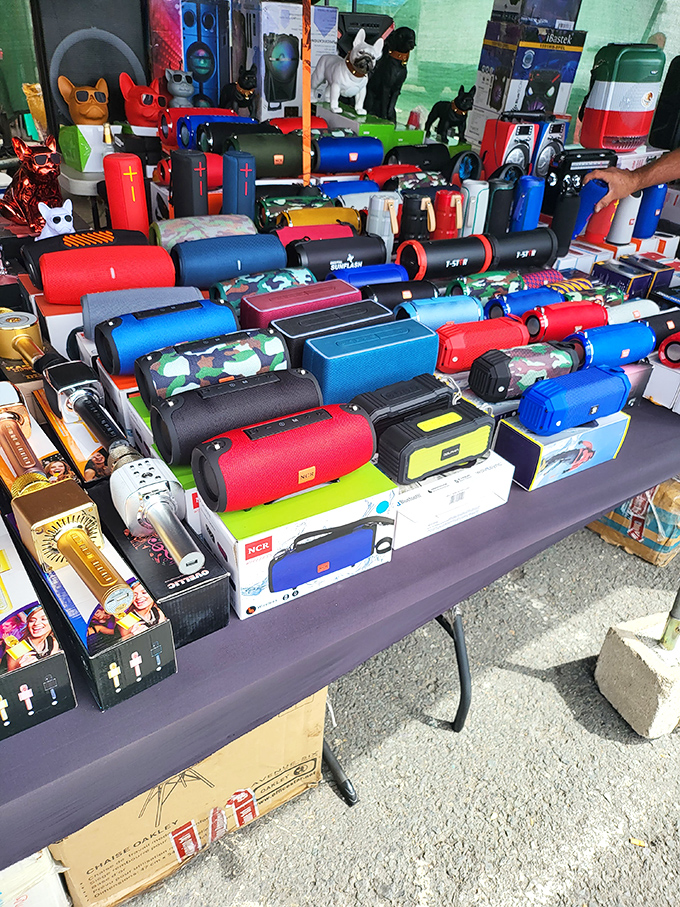 Bluetooth speakers in every color imaginable stand at attention like tiny electronic soldiers, ready to march home with whoever makes the best offer.
