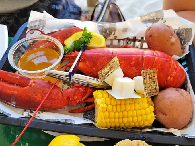 A lobster feast that makes you wonder why we bother with utensils when nature provided the perfect cracking tools—our eager hands.