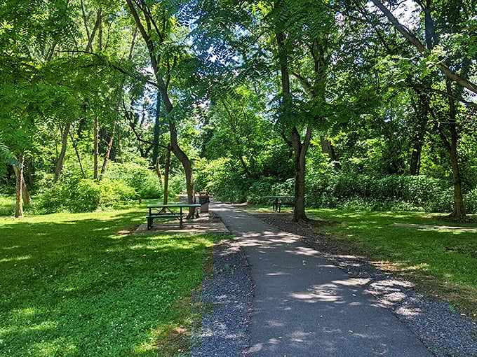 Dappled sunlight plays hide-and-seek along this park path, inviting contemplative strolls and conversations that never feel rushed.