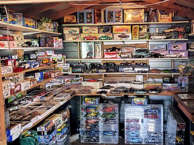 Miniature car heaven! This collector's paradise would make Jay Leno weep with joy—decades of automotive history in pocket-sized perfection.