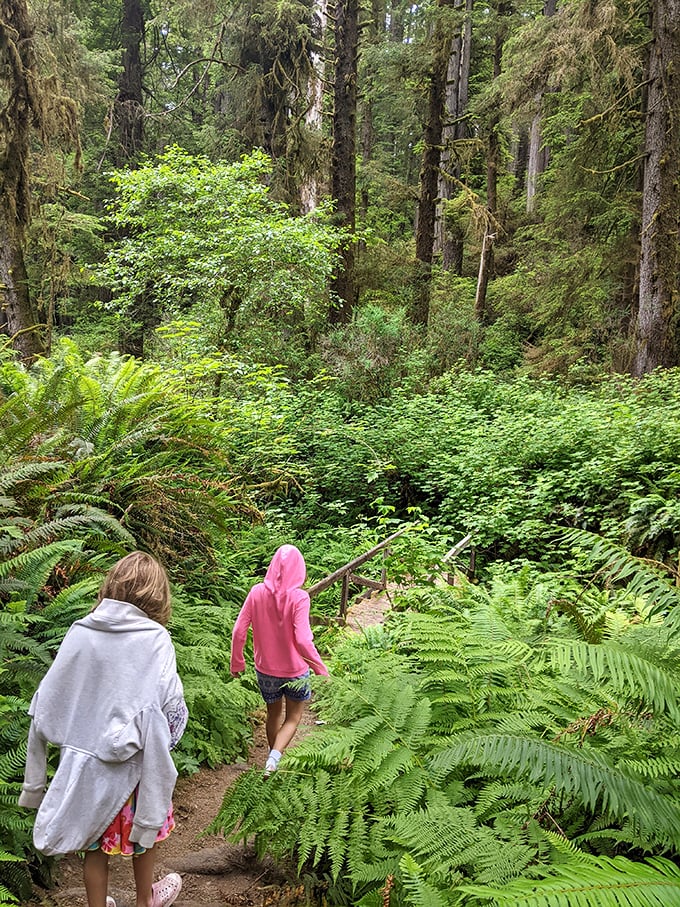 Children exploring the fern-lined trails discover a world unchanged for millennia. No video game can compete with nature's immersive experience.
