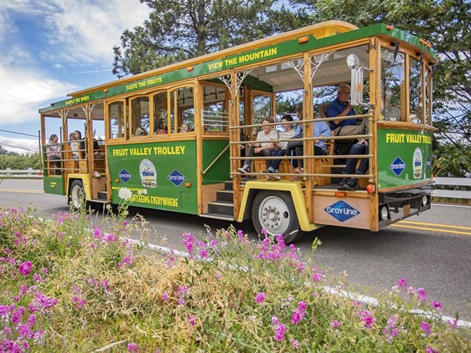 Sometimes the best way to explore orchards is from a trolley that's part tour guide, part time machine.