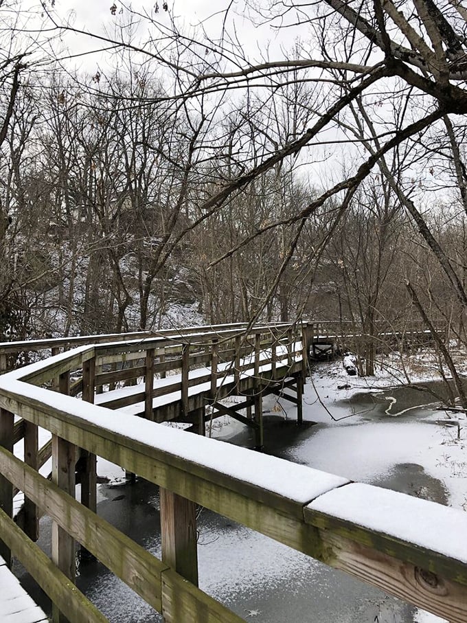 Winter transforms Hayden Falls into nature's ice sculpture competition, where water and freezing temperatures collaborate on temporary masterpieces.