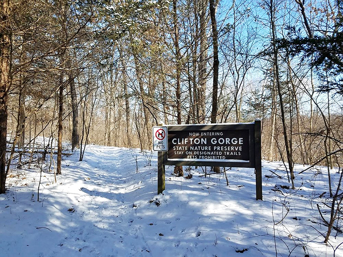 Winter transforms the trails into a hushed wonderland. Robert Frost would approve of this snowy path less traveled.