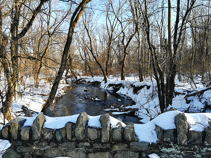 Winter transforms the park's stream into a scene straight from a holiday card. The stone wall looks like it's been telling stories since Benjamin Franklin was a boy.