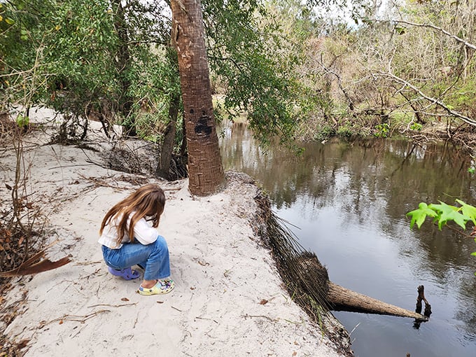 Sandy riverbanks offer perfect spots for contemplation. Nature's therapy couch comes with water views and no hourly rate.