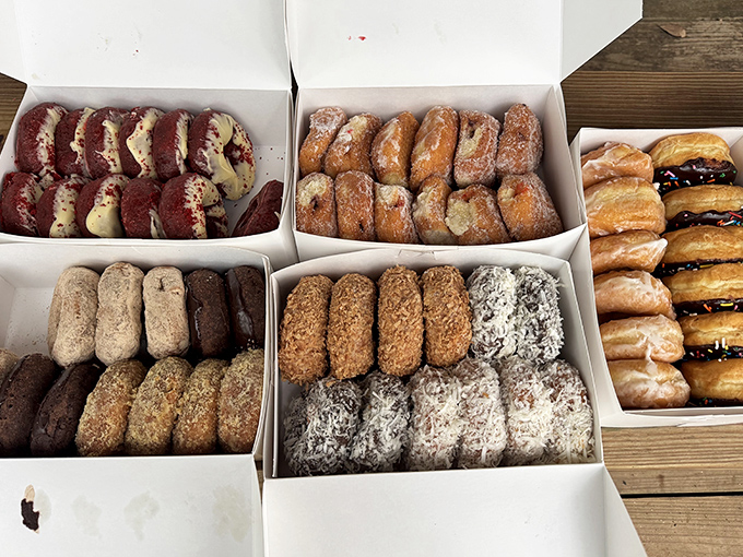 Donut boxes revealing treasure chests of fried delights—from red velvet masterpieces to cinnamon-sugar classics, all begging for coffee companionship.