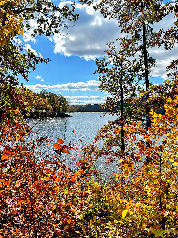 Fall's fashion show at Lake Hope – where trees dress in their most outrageous colors just to be reflected in the water.