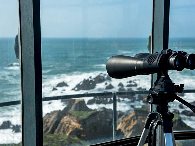 Room with a view! These binoculars offer more than whale watching—they're time machines to an era when this coastline was truly wild.